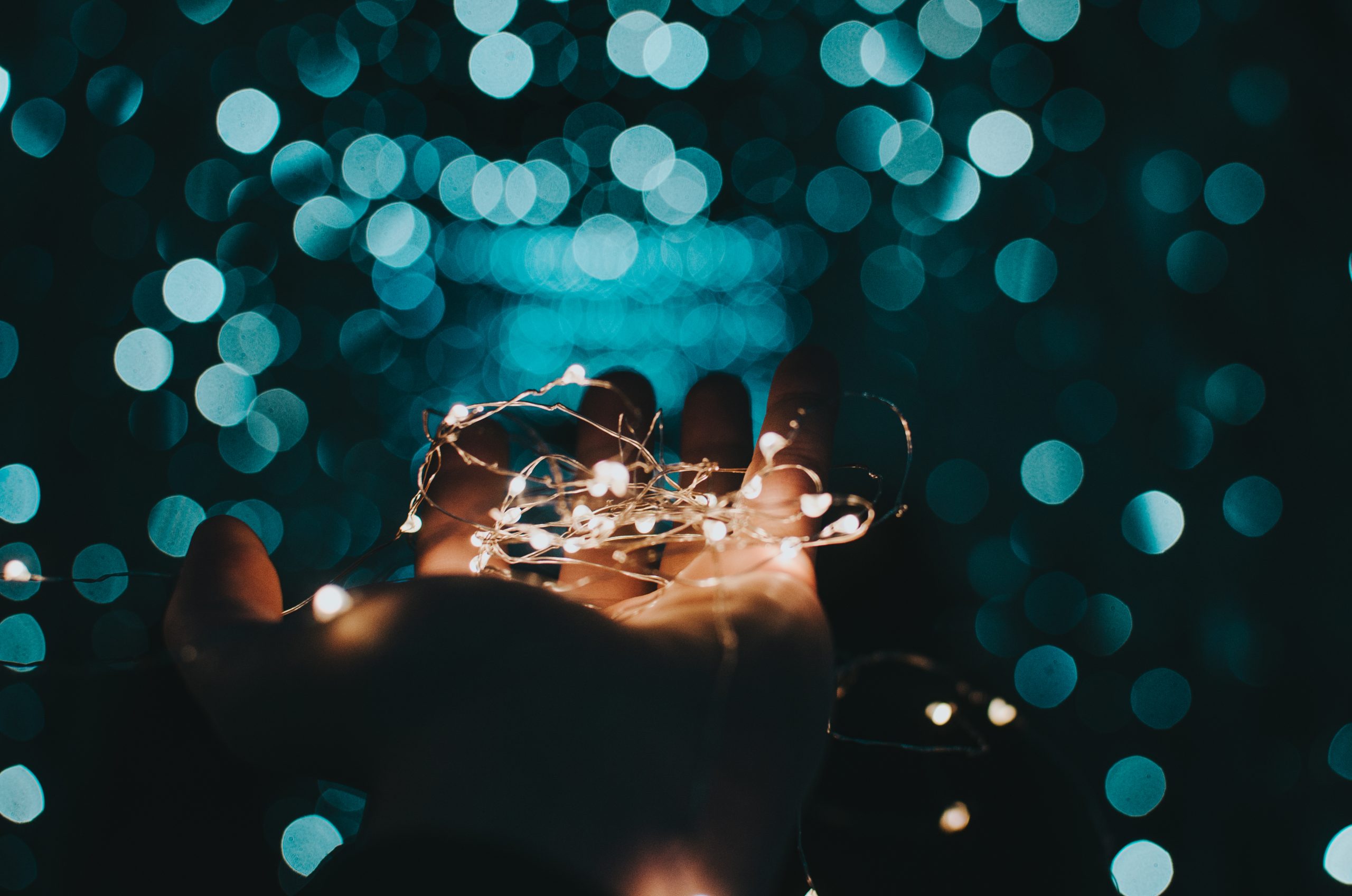 in a tangle - Choosing Thankfulness